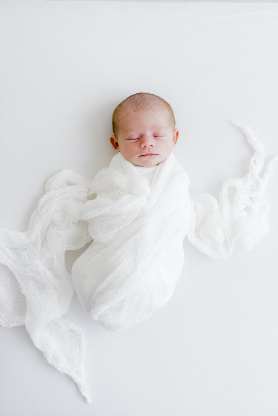 Heather Roth Fine Art Photography » Photo Blog » page 4